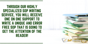 Writing Service for Your Statement of Purpose for Internship